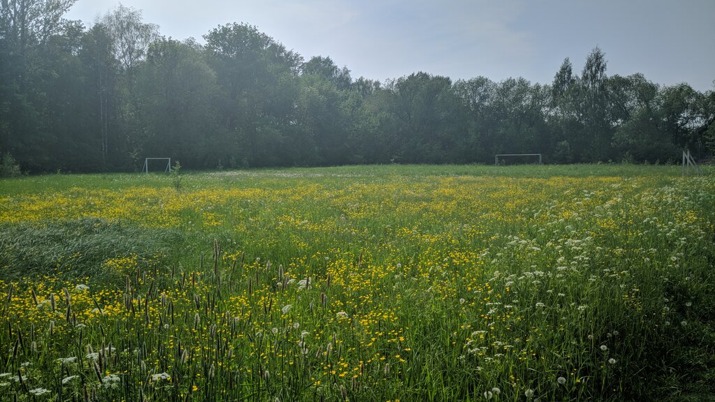 Stadyum Свобода, Rybinsk, foto