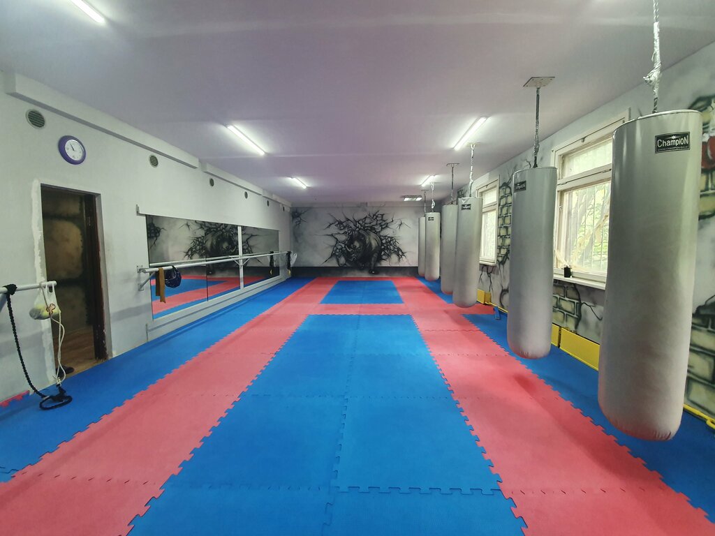 Spor okulları Sabaigym.by, Minsk, foto