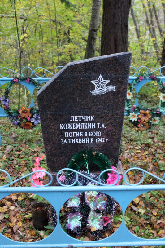 Anıt, heykel Могила летчика Кожемякина Т.А., Saint‑Petersburg ve Leningradskaya oblastı, foto