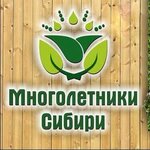 Многолетники Сибири (Vatutina Street No:9, Novosibirsk), bahçe ekipmanları ve teknolojileri  Novosibirsk'ten