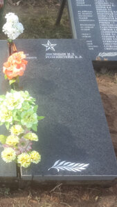 Братская могила советских воинов, погибших в борьбе с фашистами (Leningrad Region, Kirishskiy rayon, Pchevskoye selskoye poseleniye, derevnya Gorodishche), anıt, heykel  Saint‑Petersburg ve Leningradskaya oblastından