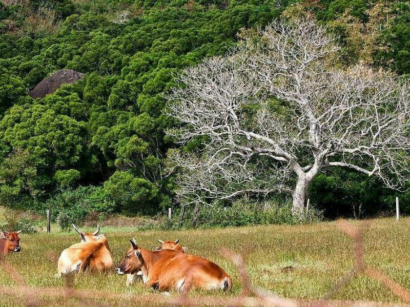 Otel Jasmine Inn, Dünya, foto