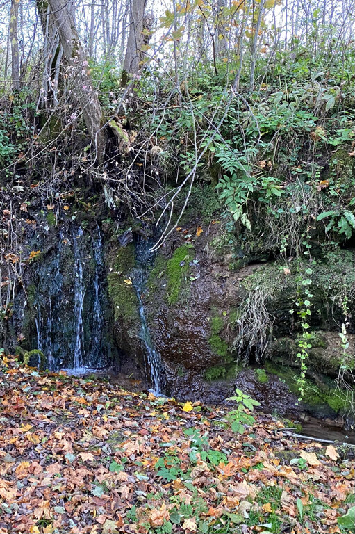 Pınar, çay Spring, stream, Kalujskaya oblastı, foto