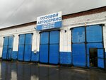 Translogistik (Yamskaya Street No:вл4с27, Urban-type Settlement of Bolshie Vyazyomy), otomobil servisi  Moskova ve Moskovskaya oblastından