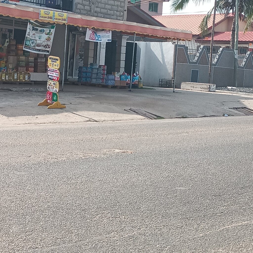 Dondurulmuş gıda firmaları Alibed Frozen Foods, Dünya, foto