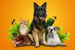 Зоомагазин (Mozhayskogo Street No:60к1), petshop  Tver'den
