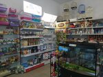 Zooterra (проспект Победы No:48), petshop  Yevpatorya'dan