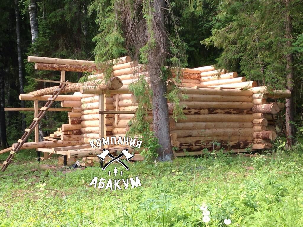 i̇nşaat firmaları Abakum, Vologodskaya oblastı, foto