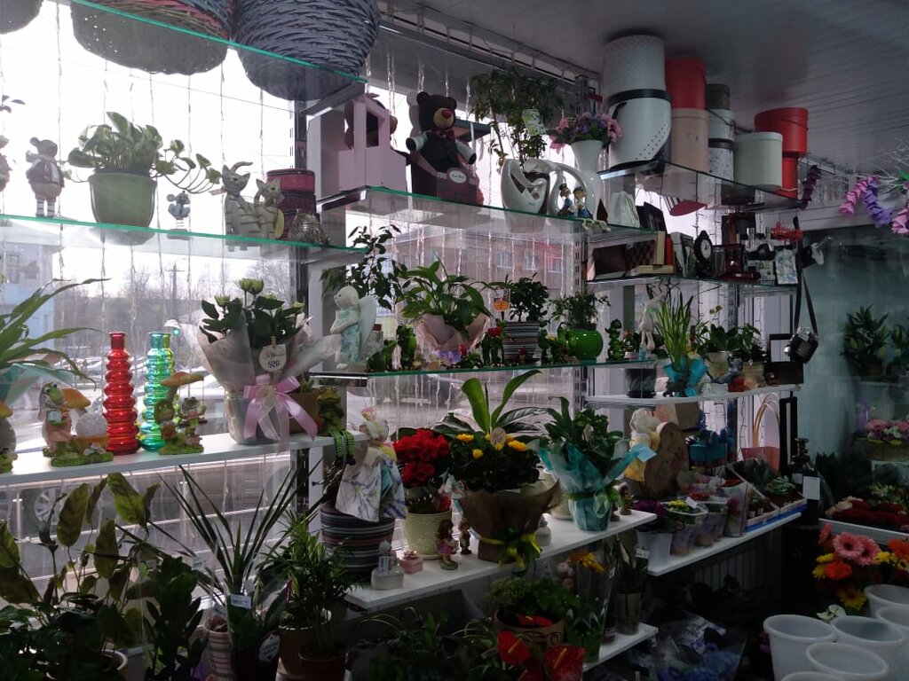 Çiçekçiler Floriana, Vyatskie Polyani, foto