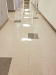 Mel's Cleaning Service, Inc (United States, Lakeland, 6323 Tocobega Drive), temizlik şirketleri  Florida Eyaleti'nden
