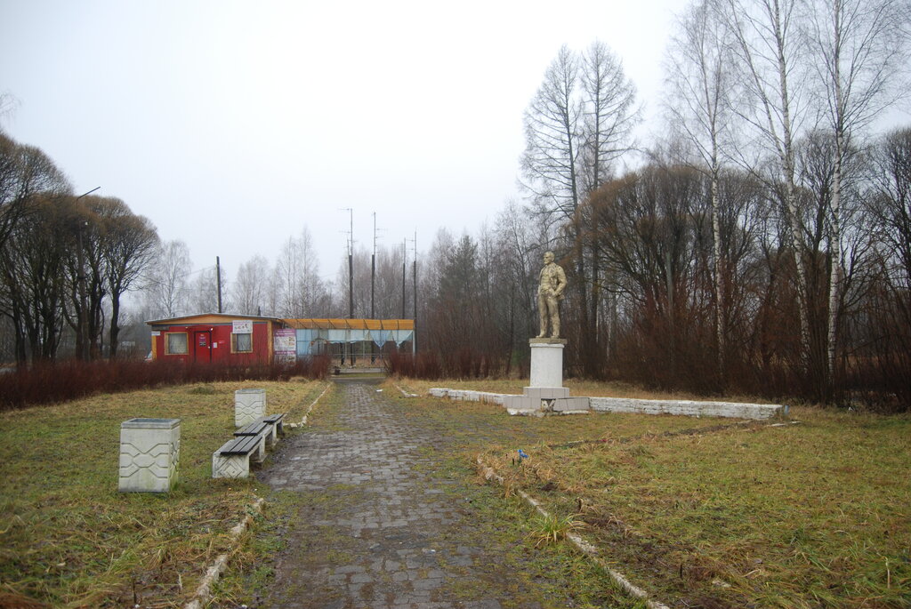 Anıt, heykel В.И. Ленин, Novgorodskaya oblastı, foto