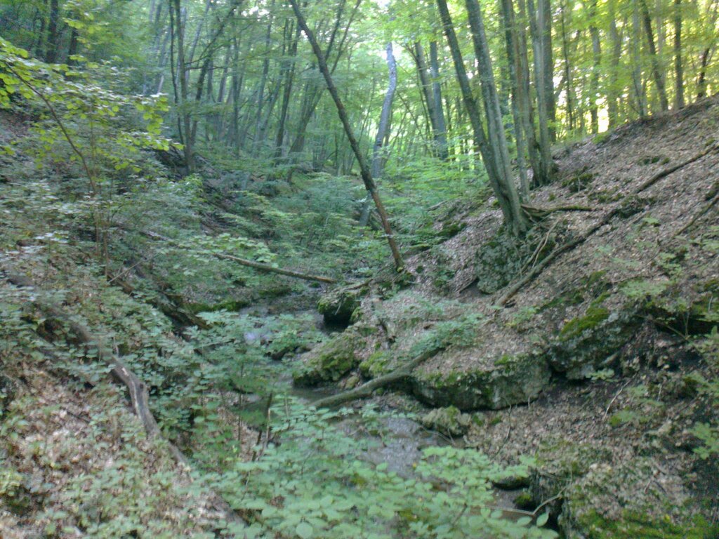 Pınar, çay Чобан-чокрак, Kırım Cumhuriyeti, foto