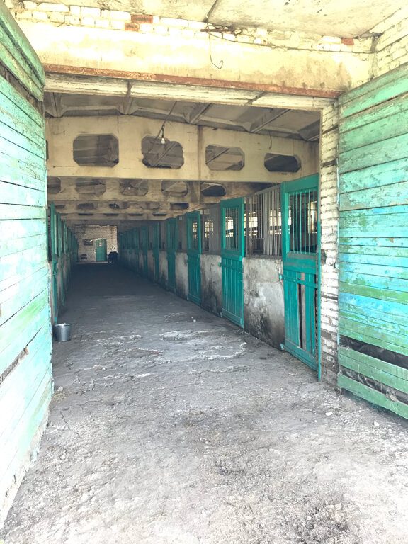 Turistik yerler Конюшни, Penzenskaya oblastı, foto