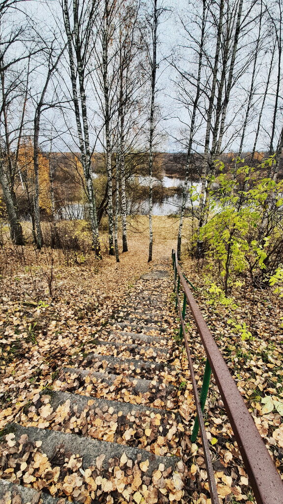 Kültür ve eğlence parkları Летний сад, Pudozh, foto