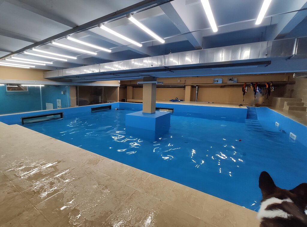 Hayvanat bahçesi merkezi Akvatsentr SunnyWay, Moskova, foto