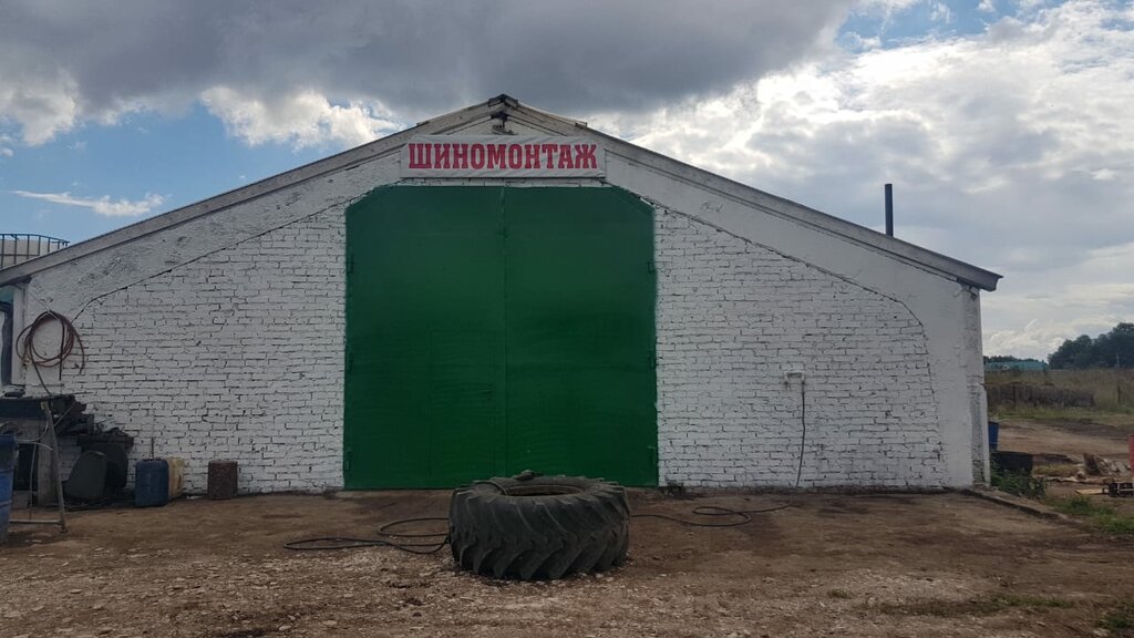 Kafe Tire service, Tataristan, foto