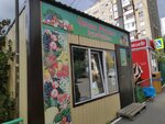 Овощи фрукты (Omsk, Pervomayskiy rayon), manavlar  Omsk'tan