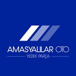 Amasyalılar Oto (İstanbul, Küçükçekmece, İkitelli Cad., 55), otomobil yedek parçaları  İstanbul'dan
