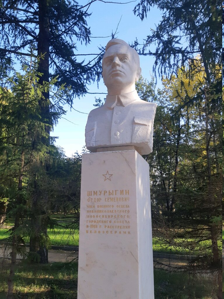Anıt, heykel Бюст Ф.С. Шмурыгина, Novosibirsk, foto
