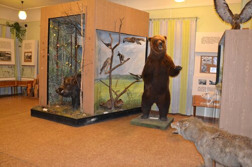 Müzeler ve sanat galerileri Museum Center House Bogdanovs' House, Mosalsk, foto