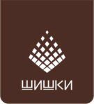 Shishki (Minskaja region, Uzdzienski rajon, Slabadski sieĺsaviet), tatil köyleri  Minskaya oblastından