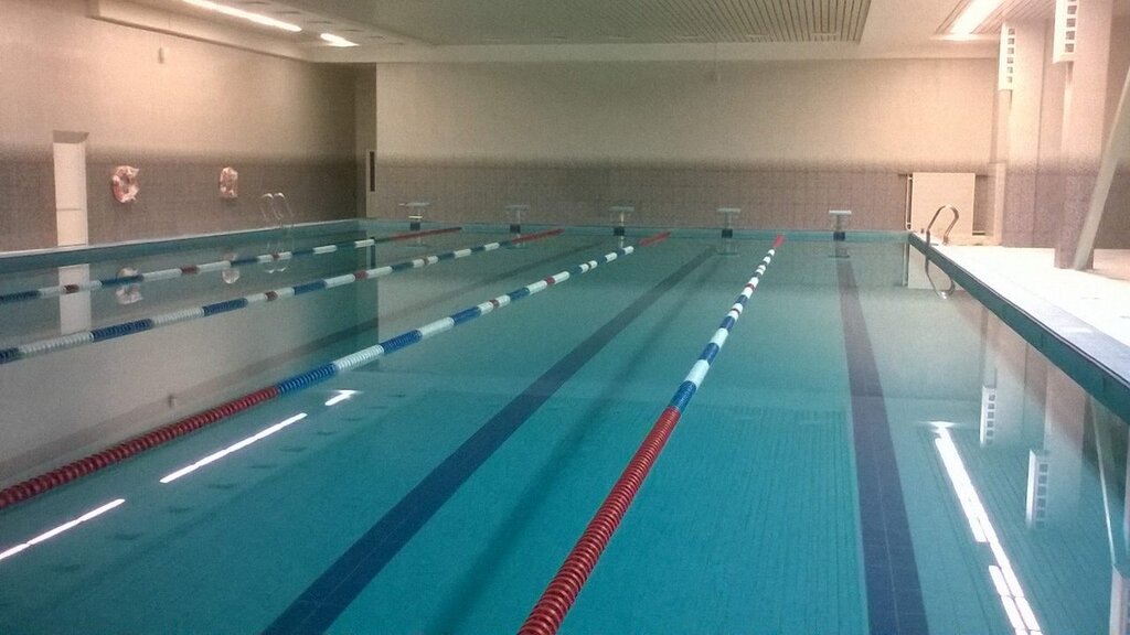 Yüzme havuzları Бассейн, Mogiliovskaya oblastı, foto