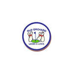 Old Orchard Lanes & Links (United States, Savoy, 901 N Dunlap Ave.), bowling salonları  Champaign'den