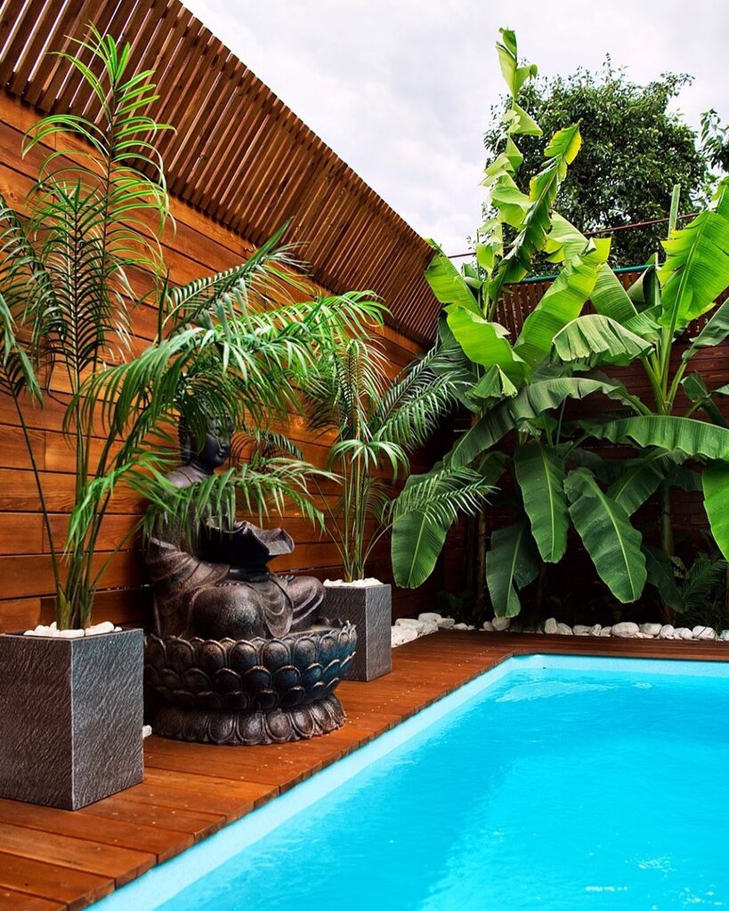 Profesyonel fotoğraf stüdyosu Jungle Room, Krasnodar, foto