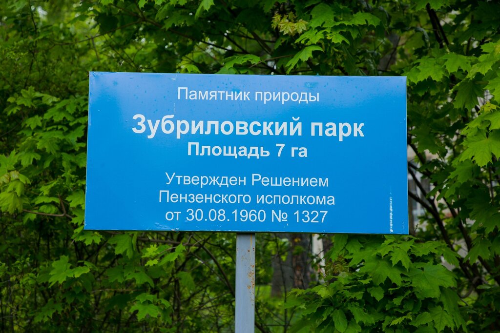 Doğa Зубриловский парк, Penzenskaya oblastı, foto