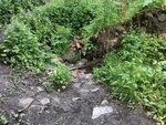 Spring, stream (Tula Region, Aleksin, Gorodskaya Doroga Street), pınar, çay  Aleksin'den