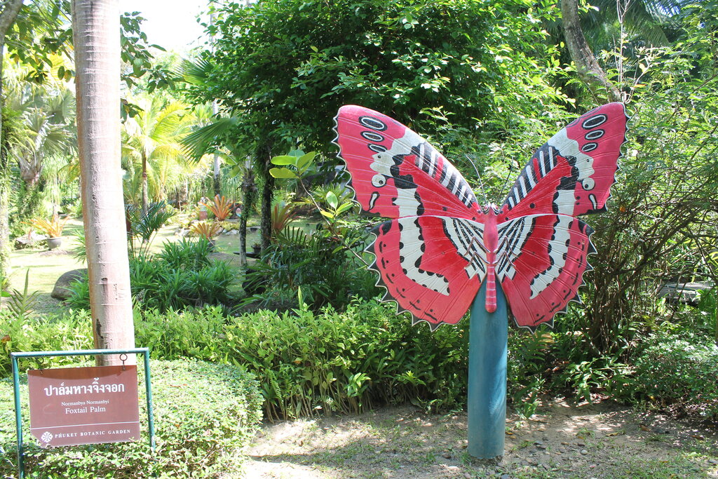 Kültür ve eğlence parkları Phuket Botanic Garden, , foto