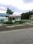 Flowers (Baurzhan Momyshuly street No:32), çiçekçiler  Taraz'dan