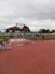 Локомотив (Trans-Baikal Territory, Shilka, park Lokomotiv), stadyum  Şilka'dan