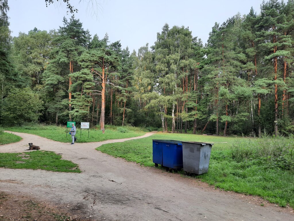 Çöp alanları Trash and garbage disposal area, Moskova ve Moskovskaya oblastı, foto