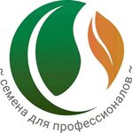 Leto Seeds (Pushkinskaya Street No:241, Izhevsk), tohum üretimi  Izhevsk'ten
