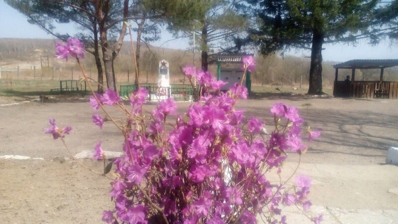 Anıt, heykel Могила пограничника А.Б. Сахадзе, погибшего при защите государственной границы, Primoriye, foto
