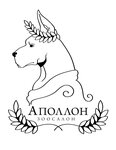 Apollon (1st Kotlyakovsky Lane No:2Ак3), evcil hayvan kuaförleri  Moskova'dan