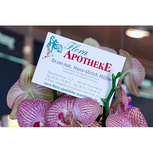 Eczaneler Flora-Apotheke, Baden‑Wurttemberg, foto