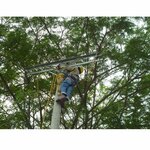 Dmelec SAS (Valle del Cauca, Municipio de Santiago de Cali, Comuna 17, El Limonar, Carrera 50A, 14A-54), aydınlatma teknolojileri