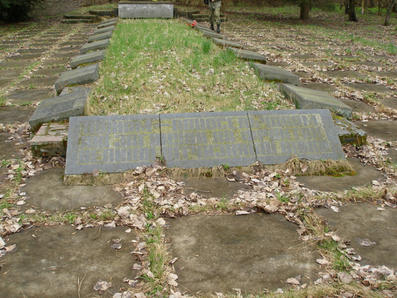 Anıt, heykel Воинам-односельчанам, Kiev Bölgesi, foto