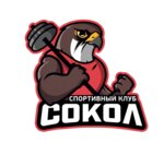 Sokol (Odesskaya ulitsa No:43), spor ve jimnastik salonları  Tiumen'den