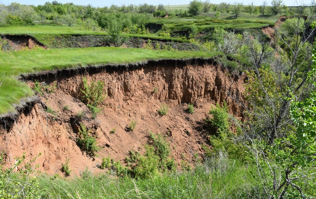 Doğa Алексеевский овраг, Orenburgskaya oblastı, foto