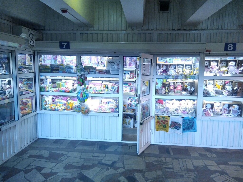 Çocuk oyunları ve oyuncakları Детские игрушки, Samara, foto