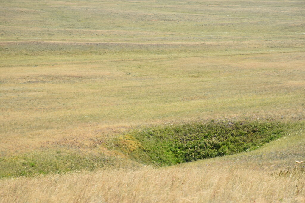 Doğa Карстовое поле Жанатаускен, Orenburgskaya oblastı, foto