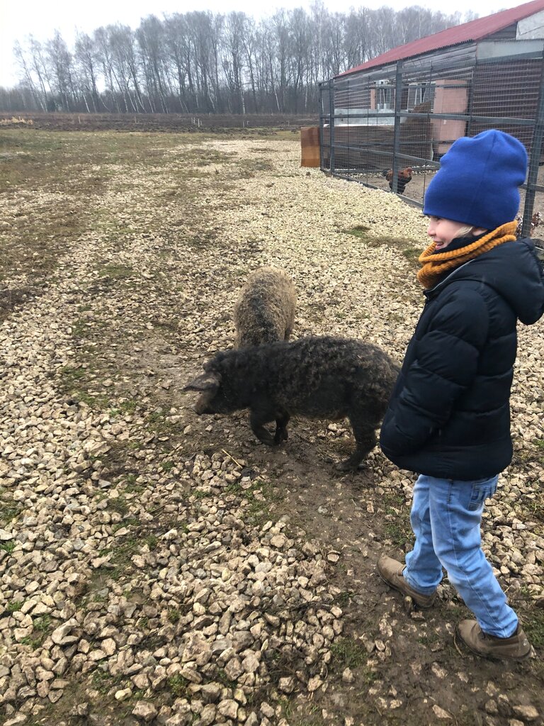 Çiftlik tatili Покровские поляны, Tulskaya oblastı, foto