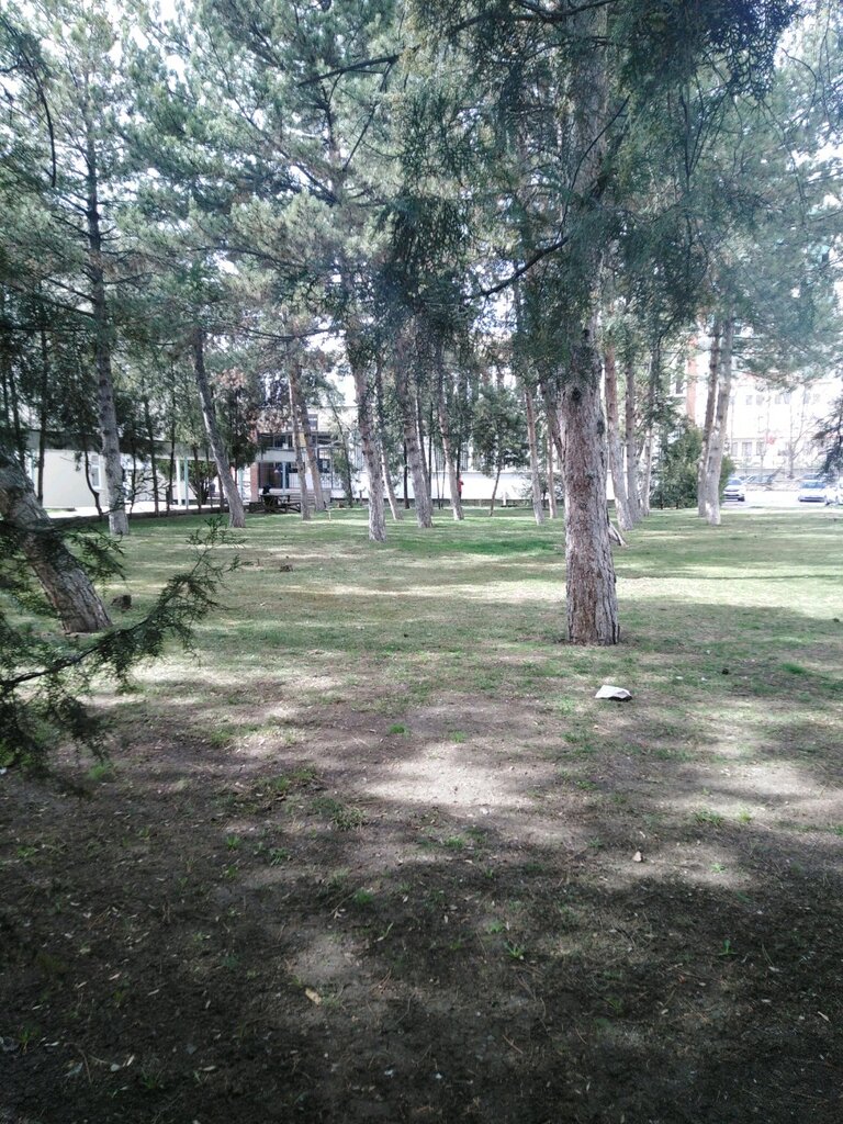 Parklar ve ormanlar Bakanlık Müşavirliği Parkı, Ankara, foto