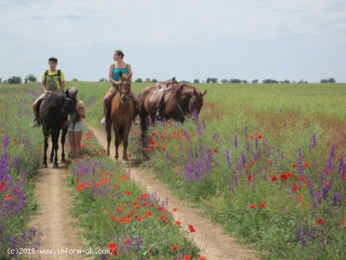 Geziler Конные прогулки Евпатория, Kırım Cumhuriyeti, foto