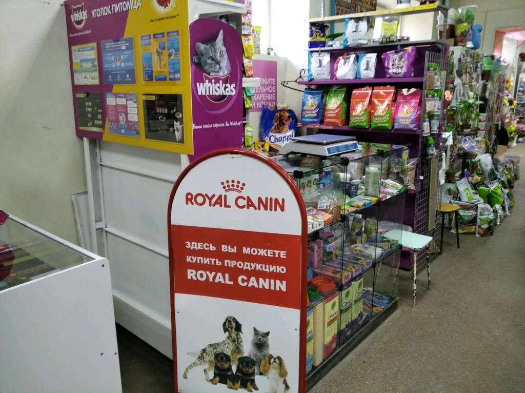 Petshop Zoomag Kotyonok Gav, Samara, foto