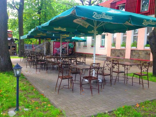 Restoran Остров, Dobruş, foto