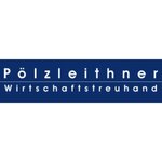Pölzleithner Wirtschaftstreuhand Kg (Upper Austria, Vöcklabruck, Dr.-Scheiber-Straße, 20), muhasebeciler  Yukarı Avusturya'dan